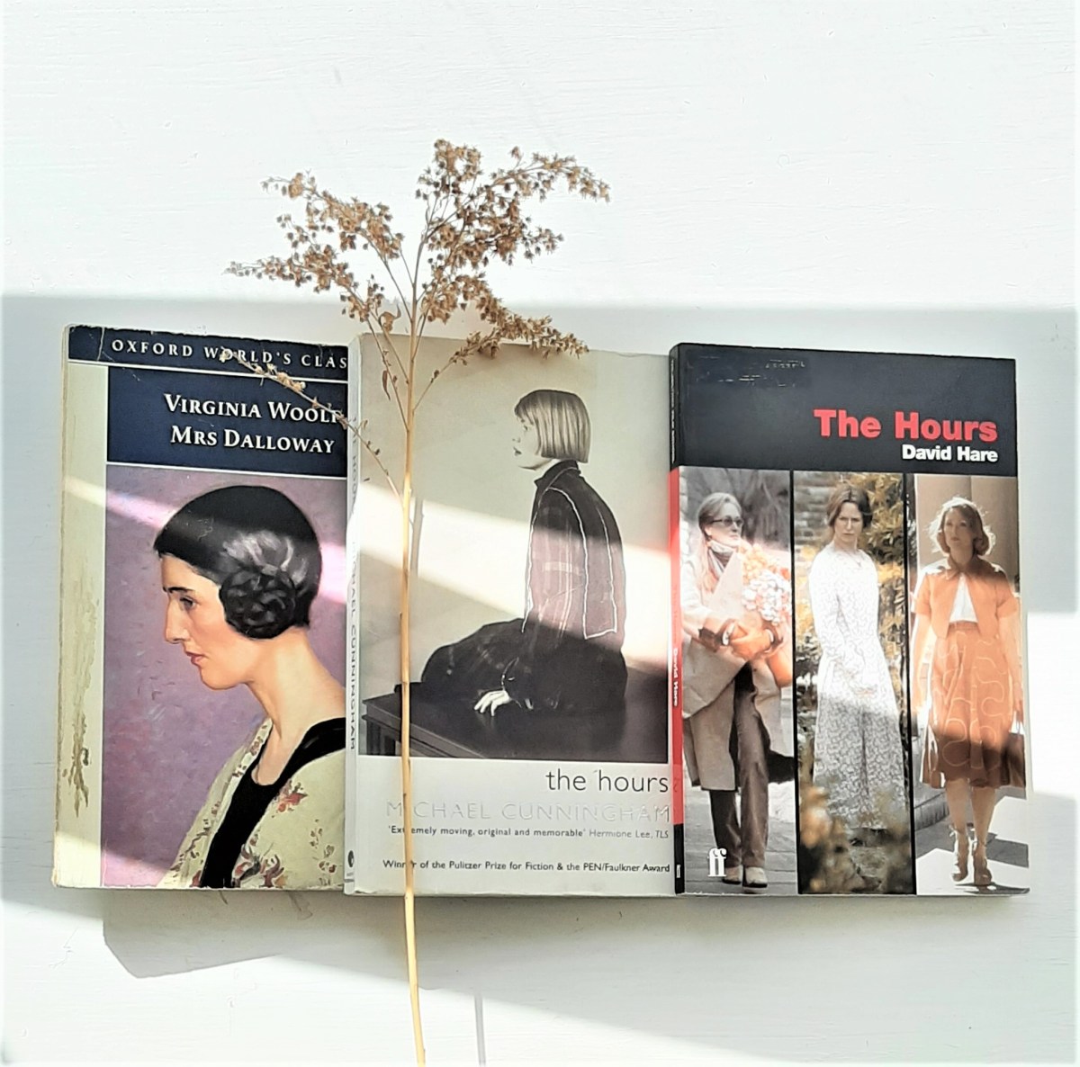 Mrs Dalloway Day 4 – The Hours by Michael Cunningham – Absurd Reviews