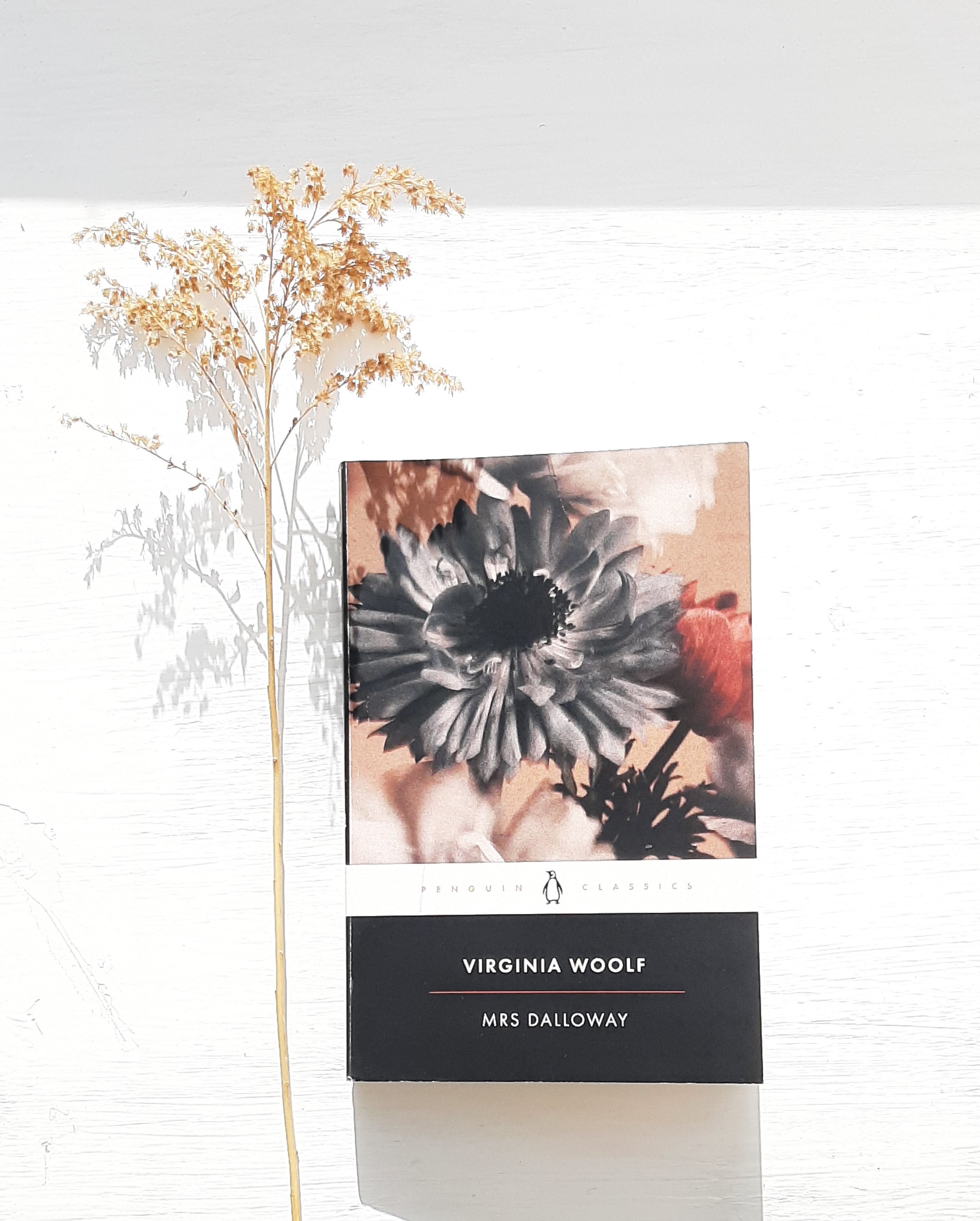 Mrs Dalloway by Virginia Woolf Day 2 – Plot and Style – Absurd Reviews